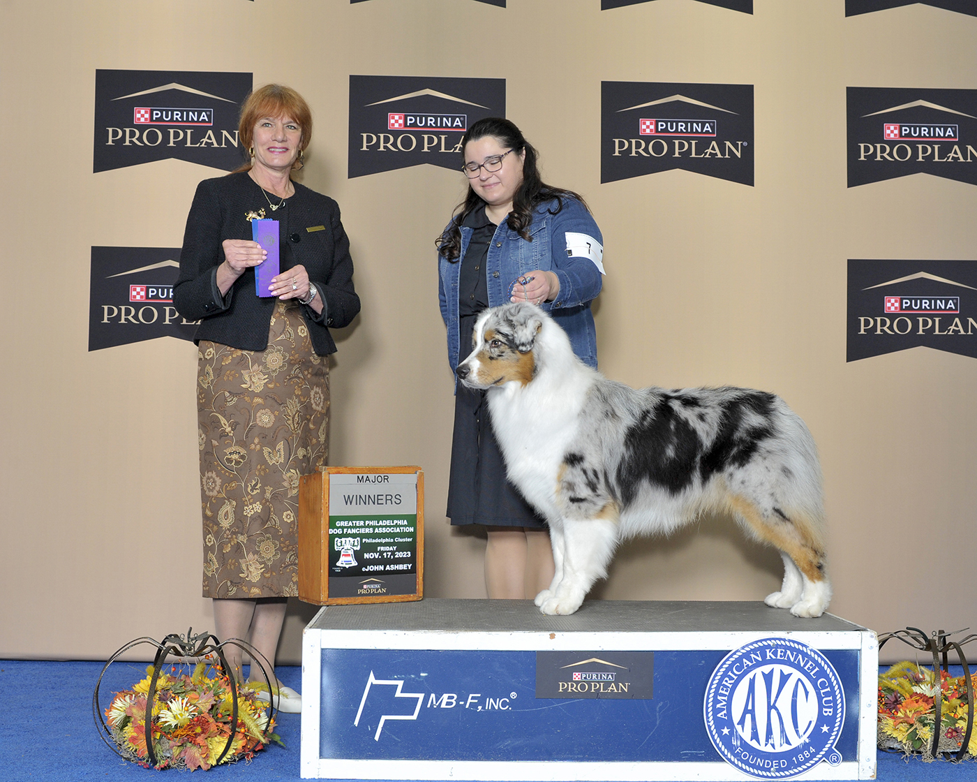 Hightide Kennel • Apollo