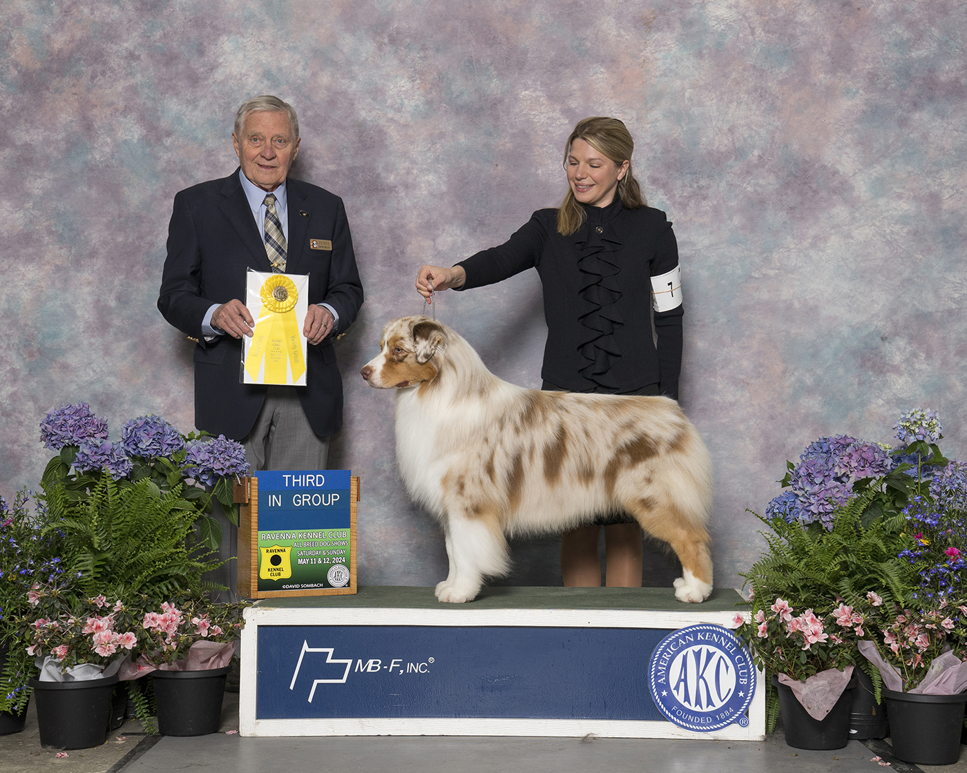 Hightide Kennel • Cane