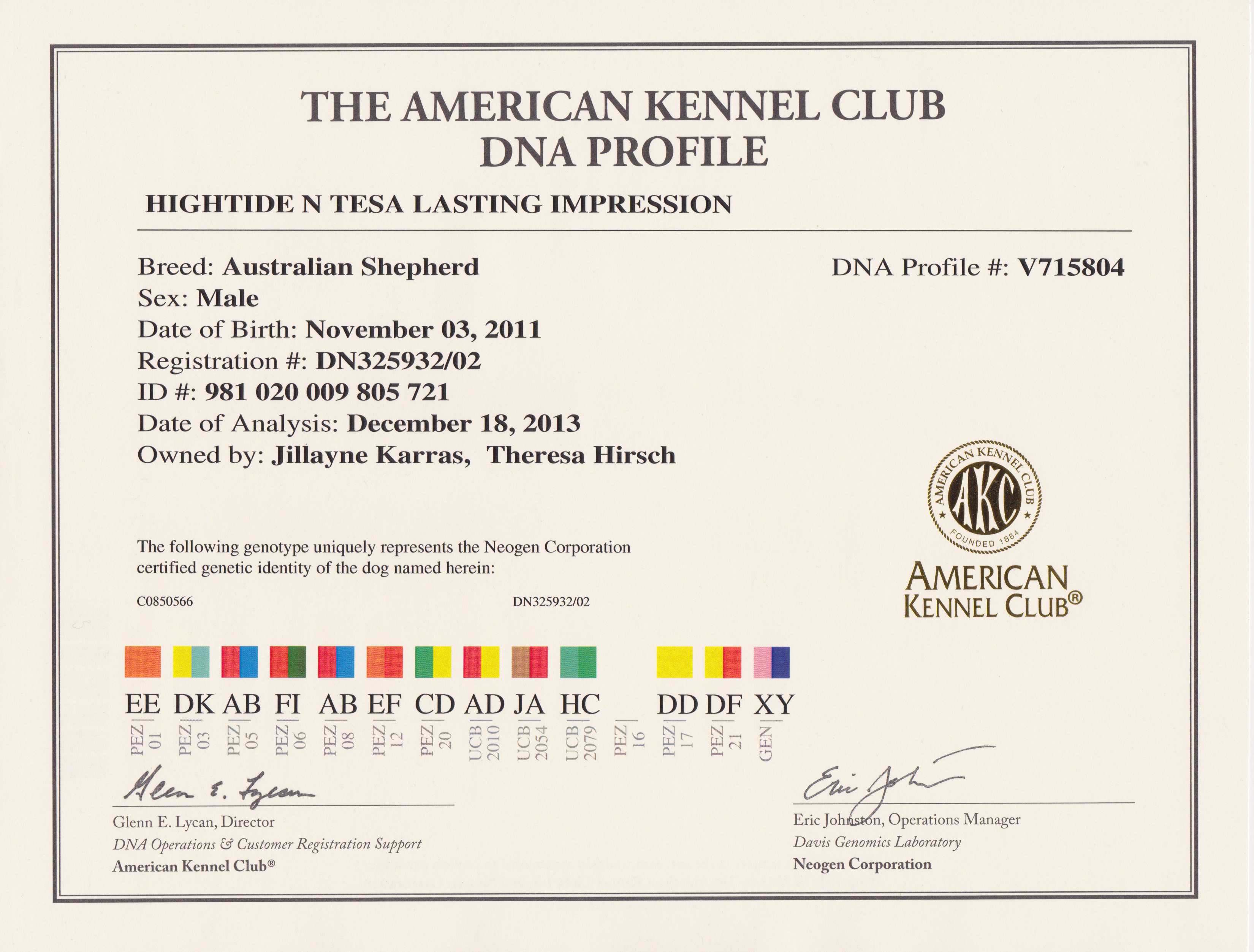 Hightide Kennel • Jackson's Certificates